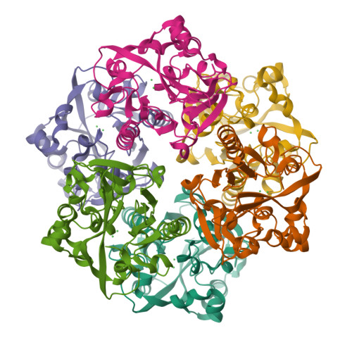 RCSB PDB - 9KHO: Crystal structure of N-acyl homoserine lactonase AhlX ...