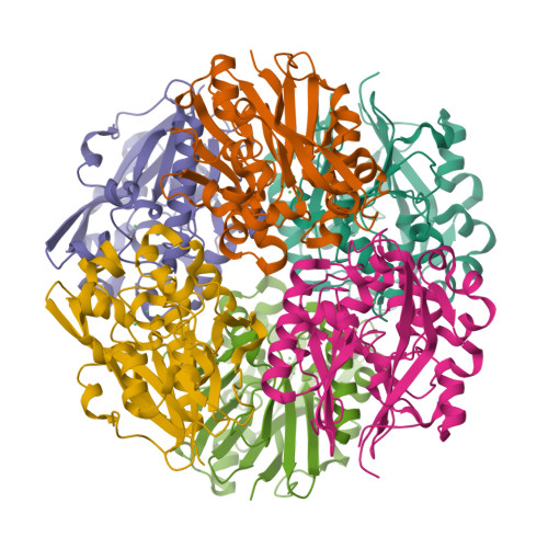 RCSB PDB - 9KHQ: Crystal structure of N-acyl homoserine lactonase AhlX