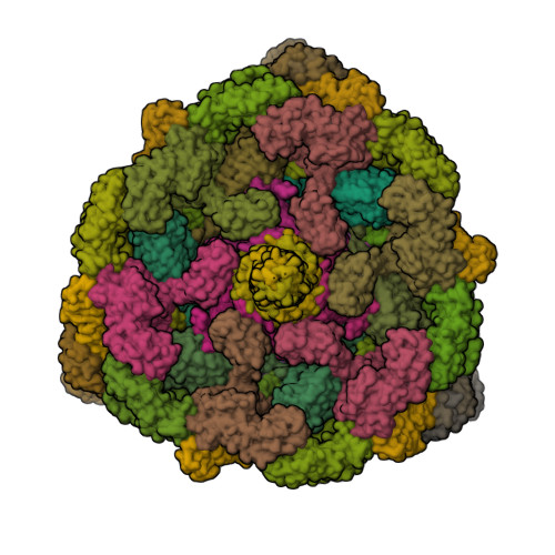 RCSB PDB - 9KI1: Baseplate structure of Escherichia phage Mu