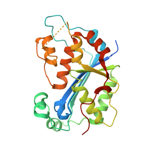 RCSB PDB - 9KJM: The mTREX1-NSC 37204 complex structure by soaking in ...