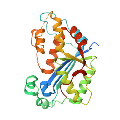 RCSB PDB - 9KJO: The mTREX1-NSC 37215 complex structure by soaking in ...