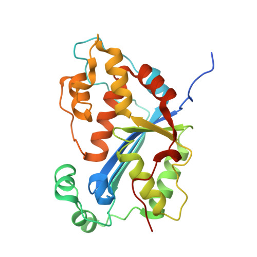 RCSB PDB - 9KJP: The mTREX1-NSC 37215 complex structure by soaking in ...