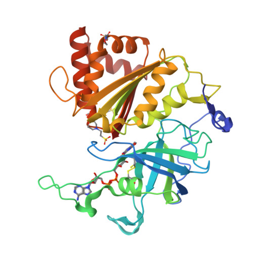 RCSB PDB - 9KKH: High resolution structure of Ferredoxin-NADP+ ...