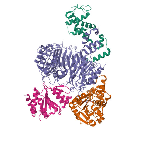 RCSB PDB - 9KLD: Strigolactone-induced ASK1-MAX2-HTL7-SMAX1 complex ...