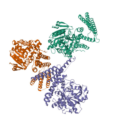 RCSB PDB - 9KNK: Crystal structure of full-length PHA synthase (PhaC ...