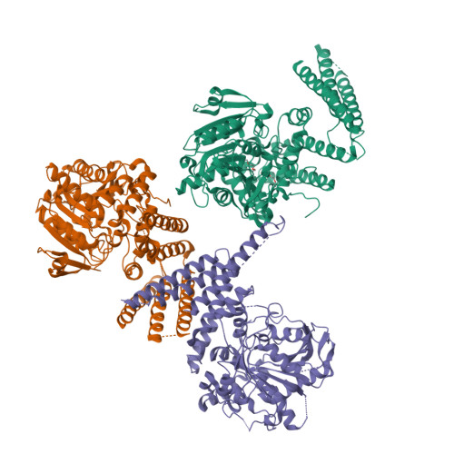 RCSB PDB - 9KNL: Crystal structure of triethylene glycol-bound full ...