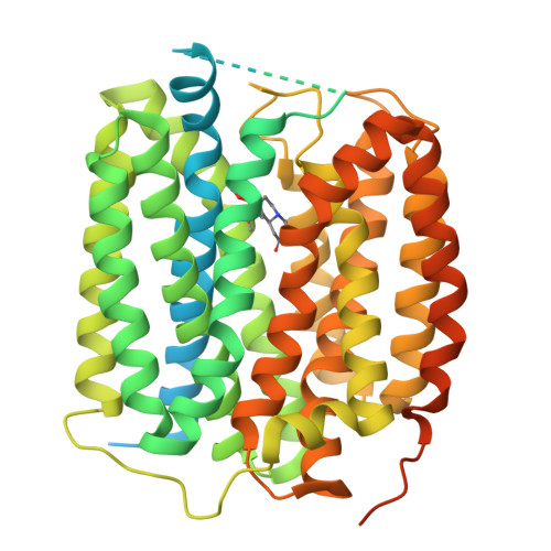 RCSB PDB - 9KQA: Cryo-EM structure of human VMAT2 in complex with ...