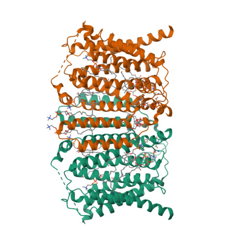 RCSB PDB - 9KQF: Cryo-EM structure of PSS1 in the absence of calcium or ...