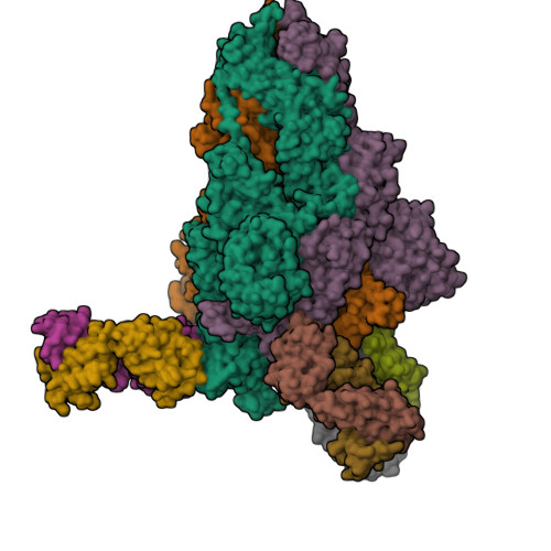 RCSB PDB - 9KT3: Structure of EG.5.1 S trimer with 2 down-RBDs complex ...