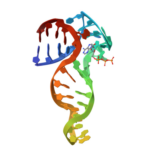 RCSB PDB - 9KTJ: Solution NMR structures of ATP-binding DNA aptamer in ...