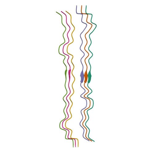 RCSB PDB - 9KTY: Cryo-EM structure of the TIA-1 prion-like domain ...