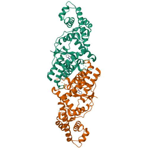 RCSB PDB - 9KW0: Crystal structure of S. aureus tryptophanyl-tRNA ...