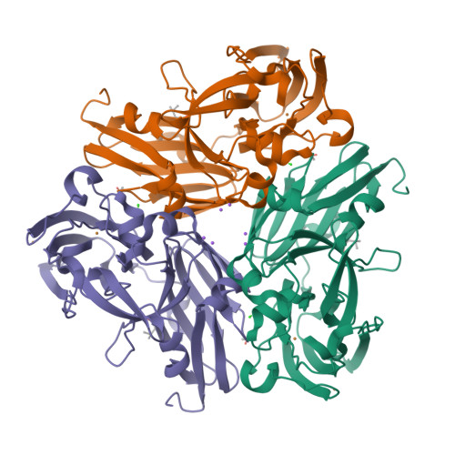 RCSB PDB - 9KWS: D98N mutant of a copper-containing nitrite reductase ...
