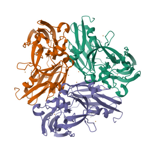 RCSB PDB - 9KWT: Structure of a copper-containing nitrite reductase ...
