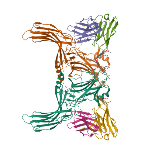 RCSB PDB - 9KY2: Structure of beta-arrestin2 in complex with mouse C5aR1pp