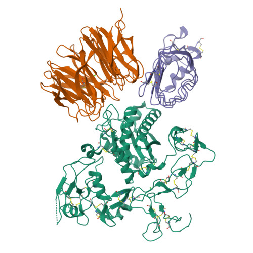 RCSB PDB - 9KZC: Cryo-EM structure of the LGI1 LRR-LGI1 EPTP-ADAM22 ECD ...