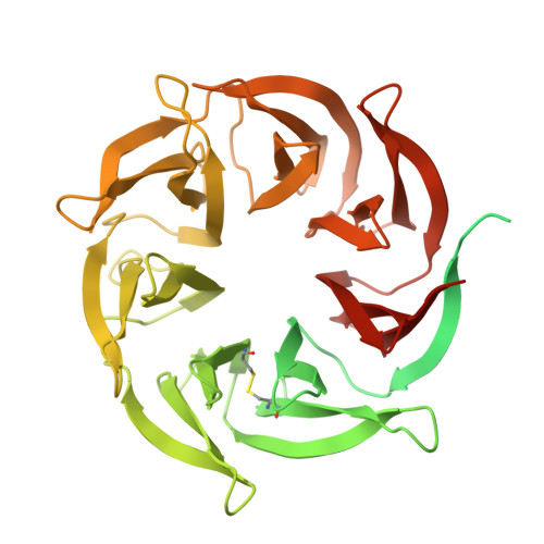 RCSB PDB - 9KZC: Cryo-EM structure of the LGI1 LRR-LGI1 EPTP-ADAM22 ECD ...