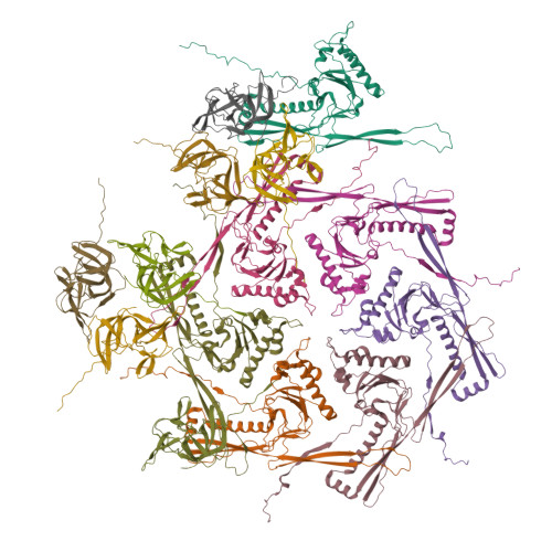 RCSB PDB - 9KZJ: Cryo-EM structure of bacteriophage T1 capsid