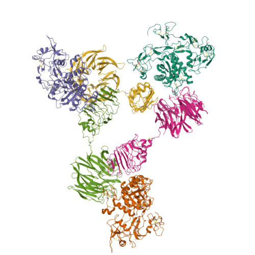 RCSB PDB - 9KZT: Cryo-EM structure of the 3:3 LGI1-ADAM22 complex