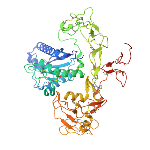 RCSB PDB - 9KZT: Cryo-EM structure of the 3:3 LGI1-ADAM22 complex