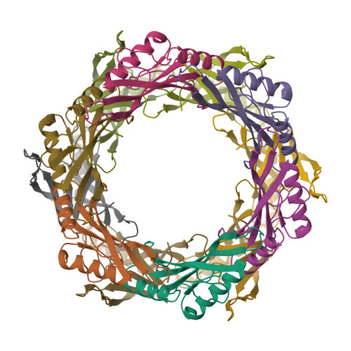 RCSB PDB - 9L0E: Cryo-EM structure of bacteriophage T1 stopper-tail ...