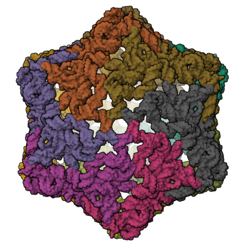 RCSB PDB - 9L0R: Streptococcus agalactiae GOLLD RNA dodecamer