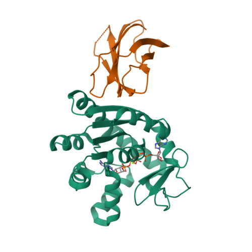 RCSB PDB - 9L14: Crystal structure of the monobody CL-1 in complex with ...