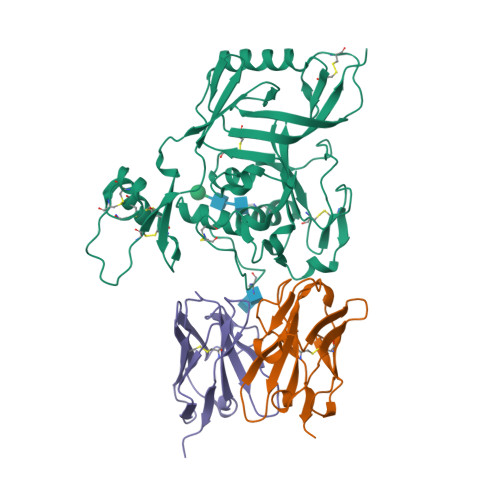 RCSB PDB - 9L2K: The crystal structure of SFTSV Gn and SD22 antibody ...