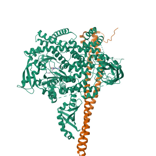 RCSB PDB - 9L3R: Human PI3KDELTA in complex with Zandelisib
