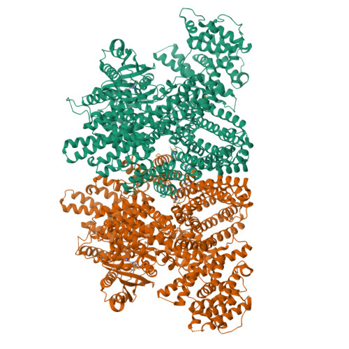 RCSB PDB - 9L40: kinase of ATR bound VE-822 state