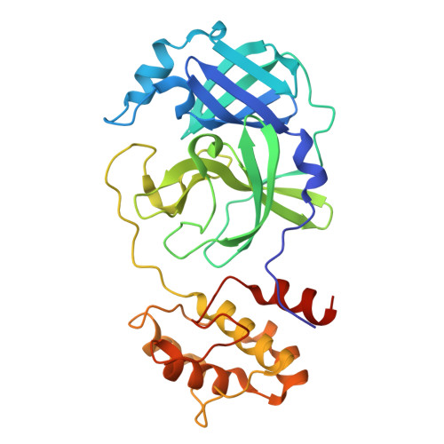 RCSB PDB - 9L7N: PEDV 3CLpro mutant (C144A) in complex with nsp12/13 ...