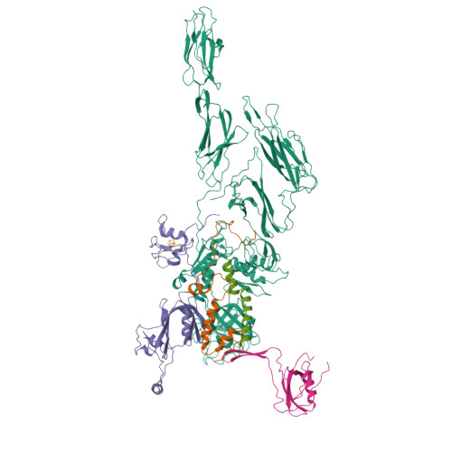 RCSB PDB - 9L9P: Cryo-EM structure of bacteriophage T1 tail tip complex