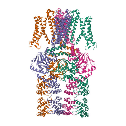 RCSB PDB - 9LA1: Arabidopsis GORK WT4