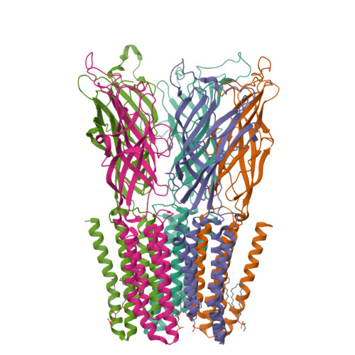 RCSB PDB - 9LBC: Cryo-EM structure of nanodisc (PE:PS:PC) reconstituted ...