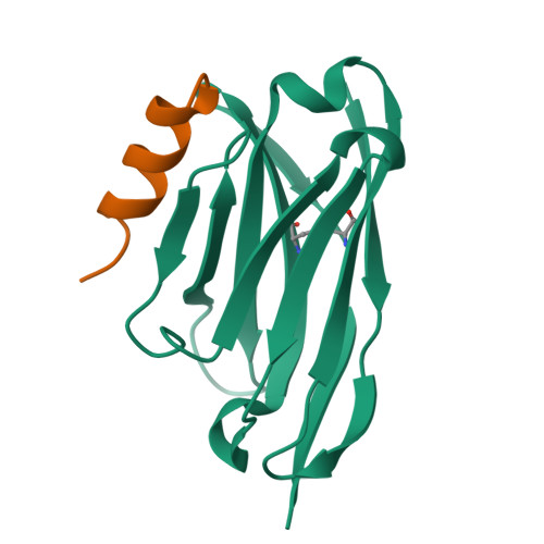 RCSB PDB - 9LDS: Crystal structure of nanobody H145 bound to SARS-CoV-2 ...