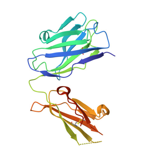RCSB PDB - 9LF8: Structure of MPXV M1R and mMM1-16 Fab complex