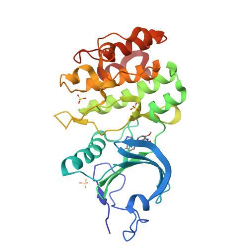 RCSB PDB - 9LGN: Crystal structure of human PKMYT1 protein kinase ...