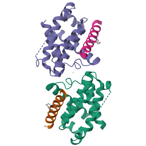RCSB PDB - 9LGU: Crystal structure of Bcl-xL in complex with stapled ...