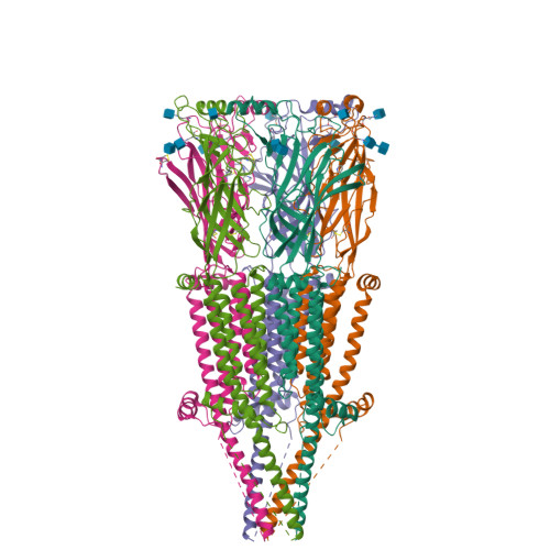 RCSB PDB - 9LHC: human alpha 7 nicotinic acetylcholine receptor in ...
