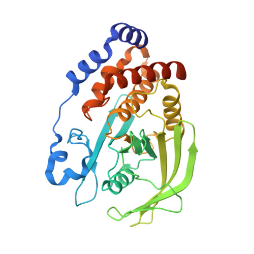 RCSB PDB - 9LIC: Crystal structure of apo form of protein tyrosine ...