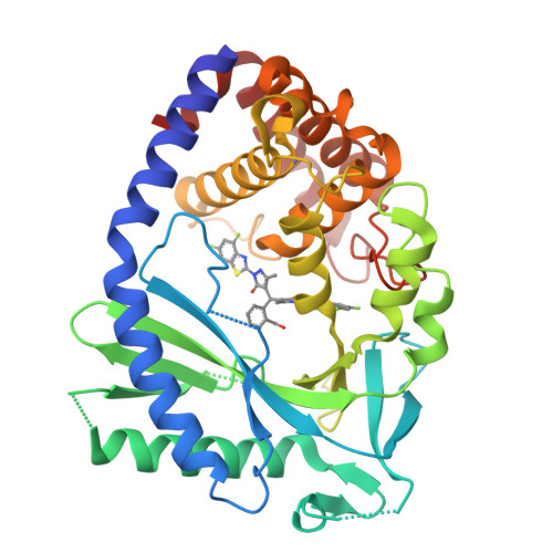RCSB PDB - 9LIO: Human cGAS catalytic domain bound with XL-3123