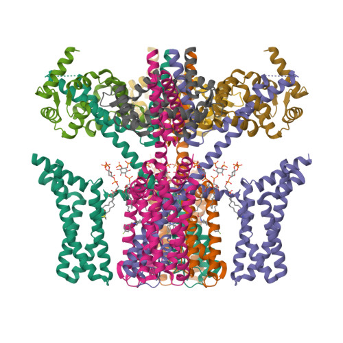 RCSB PDB - 9LJ5: Human KCNQ5-CaM-PIP2-HN37 complex in an open conformation.