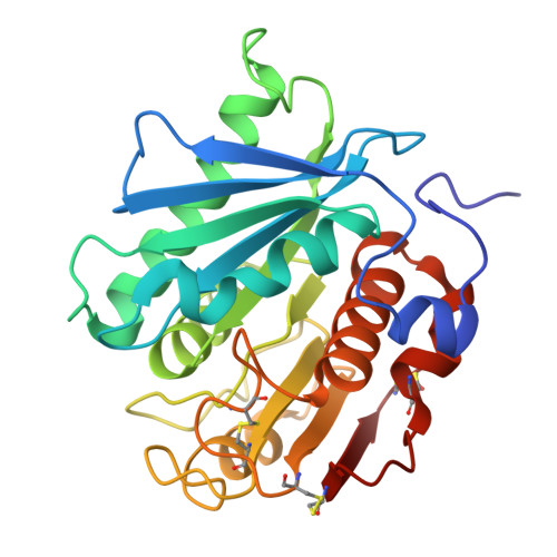 RCSB PDB - 9LMW: Crystal structure of variant FAST-ACC-T140E