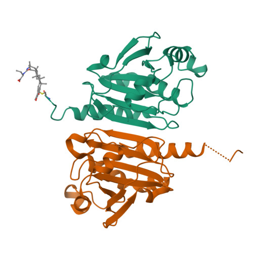 RCSB PDB - 9LNH: Crystal structure of Peroxiredoxin I in complex with ...