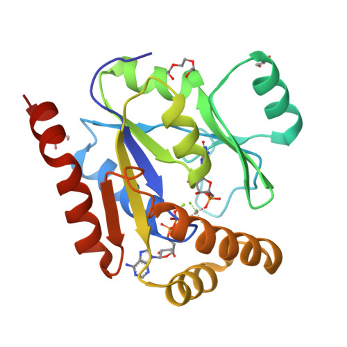 RCSB PDB - 9LO3: Transition state analogue(GMPK in complex with GMP ...