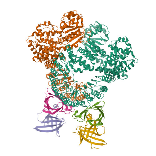 RCSB PDB - 9LQ2: Structure of human dimeric NLRP7-TCL1A complex
