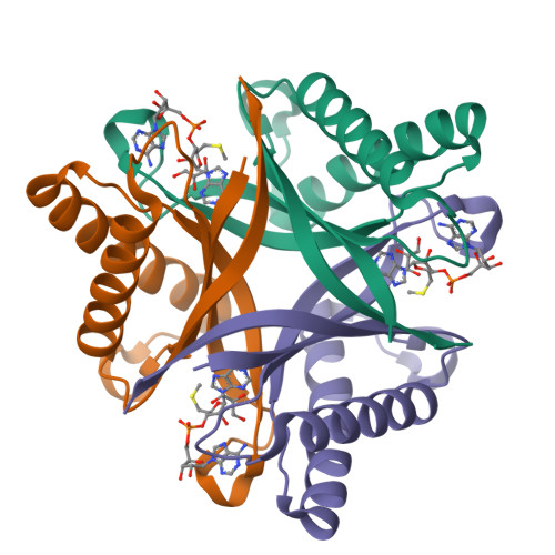RCSB PDB - 9LQG: Crystal structure of SAM lyase in complex with MTA-AMP