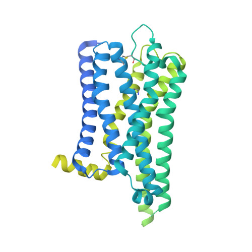RCSB PDB - 9LRC: Cryo-EM structure of the histamine H4 receptor-Gi ...