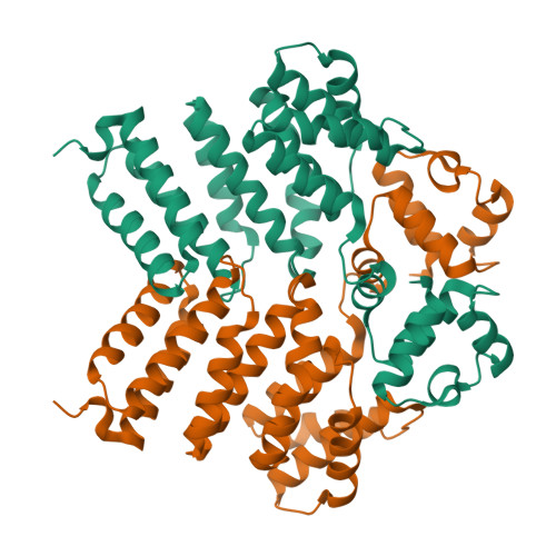 RCSB PDB - 9LTH: Crystal structure of transcriptional regulator (NrpR ...
