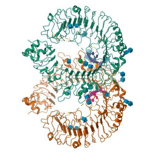 RCSB PDB - 9LUV: Cryo-EM analysis of TLR7 in complex with mGrUrC